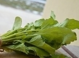 LegumeFericite.ro - Legume eco, fructe bio, ferma ecologica - Frunze de ...