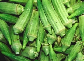 LegumeFericite.ro - Legume eco, fructe bio, ferma ecologica - Bame eco